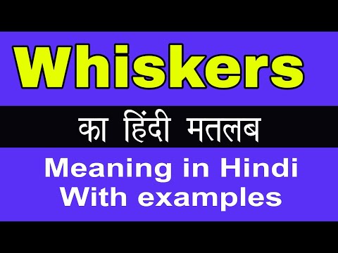 Whiskers Meaning in Hindi/ Whiskers ka Matlab kya Hota hai