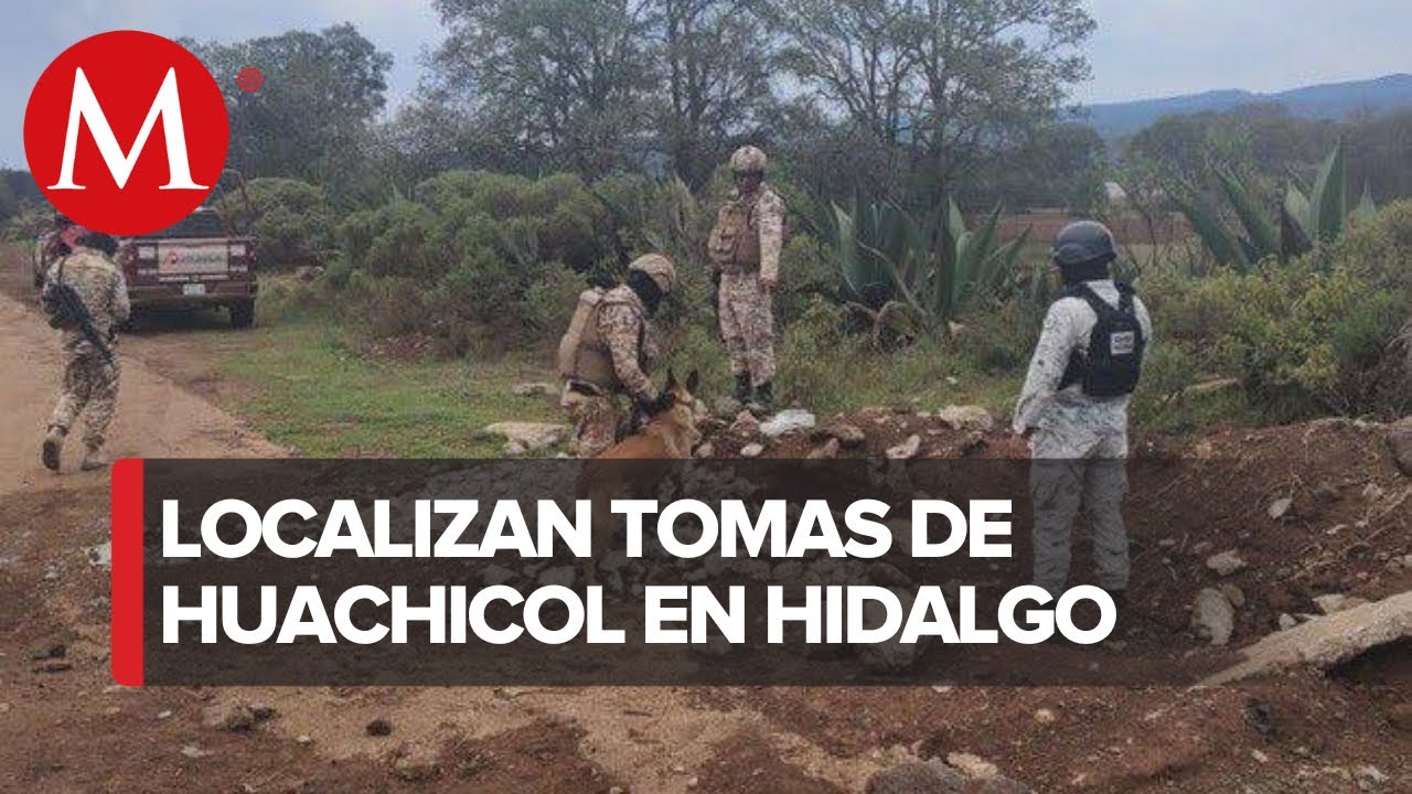 In Hidalgo, the National Guard located 10 