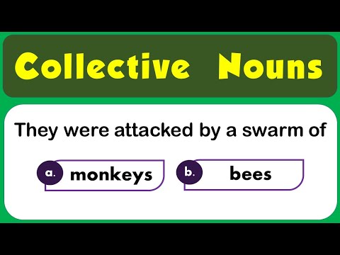 Collective Nouns Quiz / 15 Questions