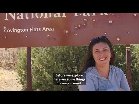Backcountry Driving at Joshua Tree National Park