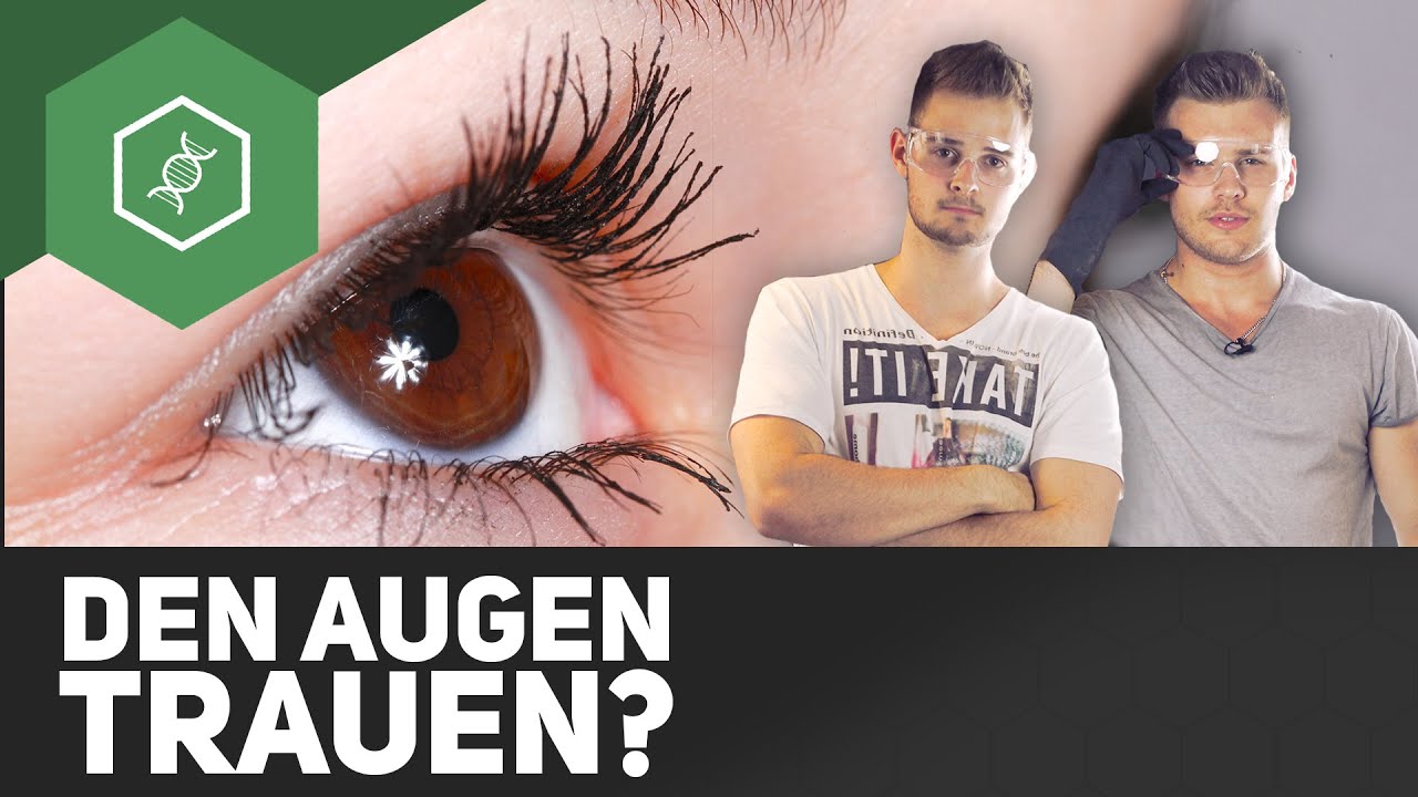 Can you believe your eyes?! - optical illusions