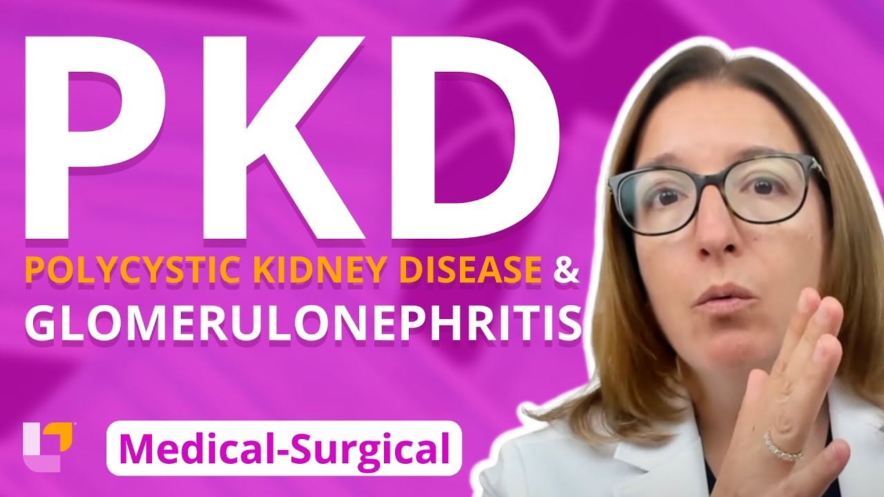 Polycystic Kidney Disease, Glomerulonephritis - Medical-Surgical - Renal System - @LevelUpRN