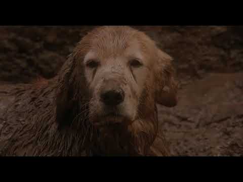 homeward bound: the incredible journey (1993) - shadow falls into mud *req* *reupload*