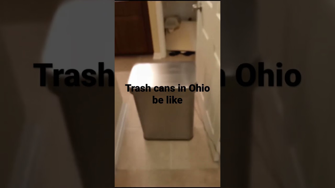 Trash  cans in Ohio be like
