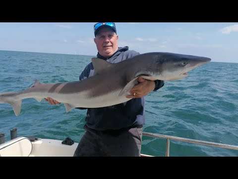 UK boat fishing off the Holderness Coast - Cod -Bass - Tope