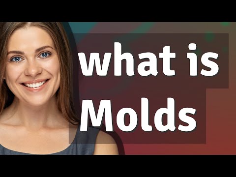 Molds | meaning of Molds