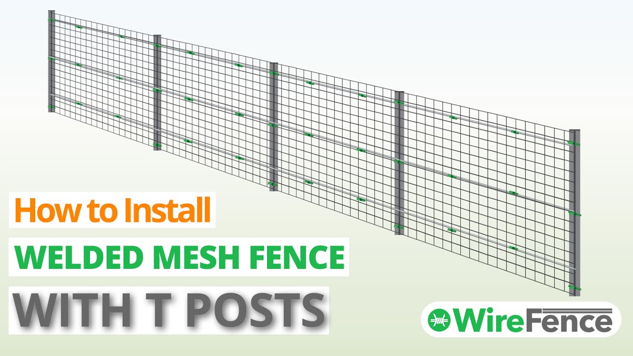 How to Install a Welded Wire Mesh Fence with T Posts (Quick & Easy) | Wire Fence