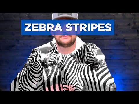 What are Zebra Stripes?