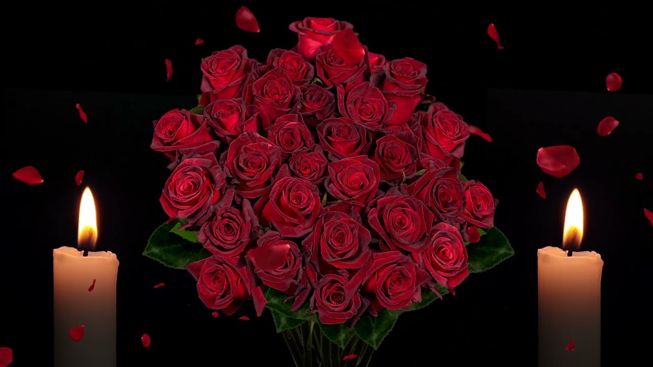 Valentine Ambience | Red Roses and Burning Candles