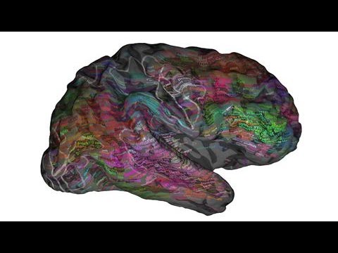 Scientists Discover Human Brain Is a Living Word Cloud
