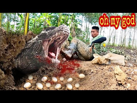 KING PYTHON115 | The Frightened Hunter Faced A Carnivorous Monster That Was Laying Eggs