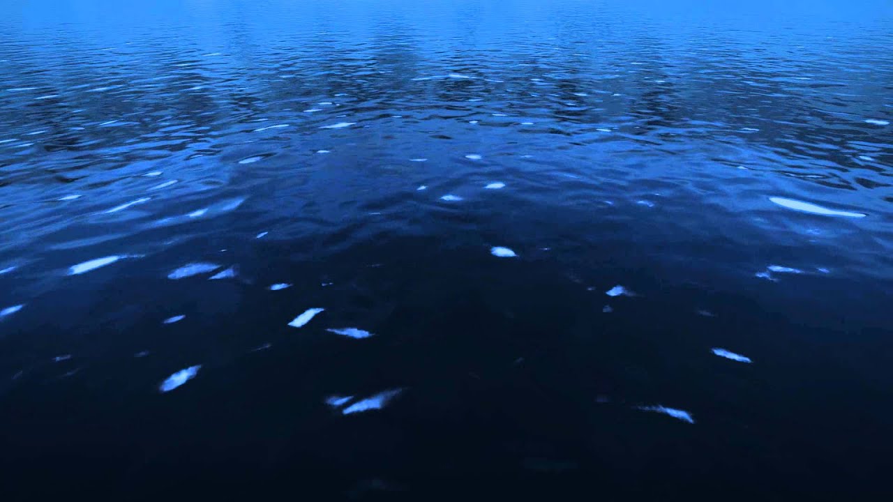 Deep Blue Sea - Live Wallpaper - (1080p)