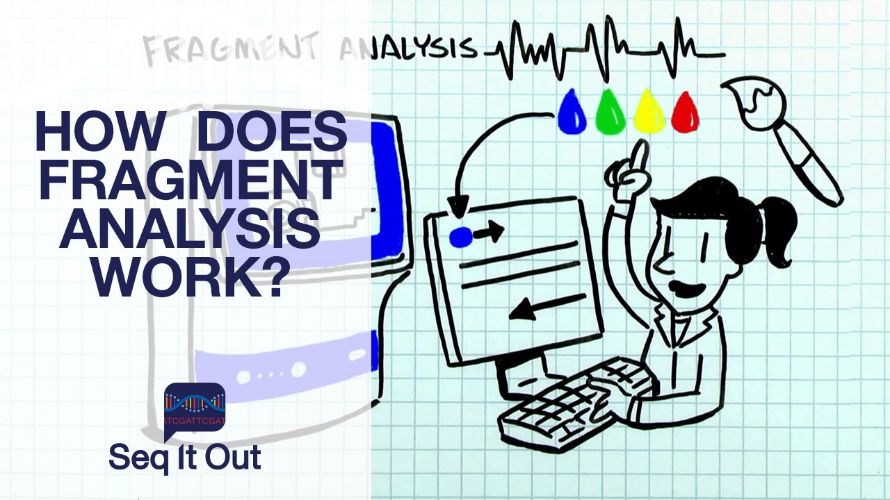 How does Fragment Analysis work? – Seq It Out #3