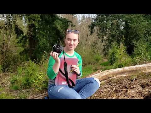 Girl Scout Activity Zone: Cadettes (Grades 6-8) – Citizen Scientist