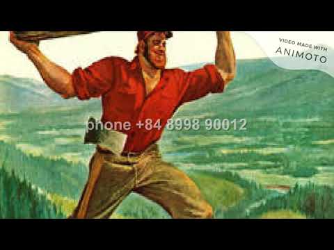 Lumber Definition – Gold Wood Company