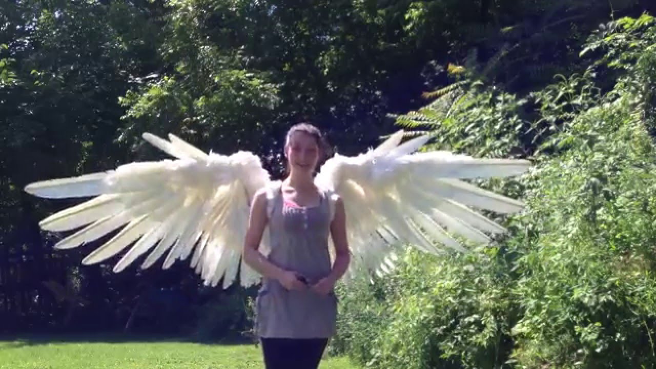 Erzi Pneumatic Wings 2013 demo - Articulated WINGS