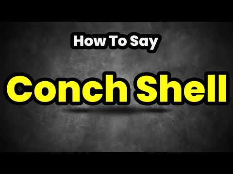 How To Pronounce Conch Shell? (CORRECTLY) Meaning & Pronunciation