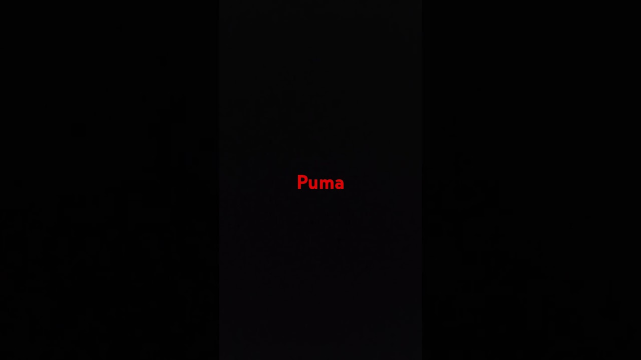 Logo Animation 3a Puma Reversed