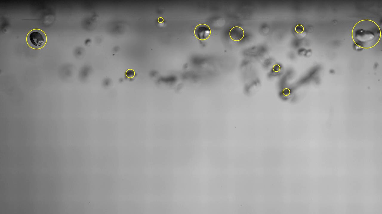 Sample 1, Bubble Detection/Characterization