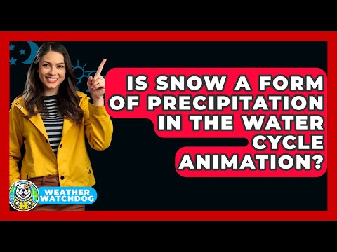 Is Snow A Form Of Precipitation In The Water Cycle Animation? - Weather Watchdog