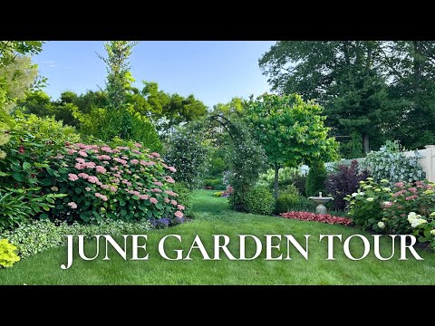 June Garden Tour 2025 🌼 What’s Blooming Now - From Roses to Redbuds in Zone 6a with Plant Names