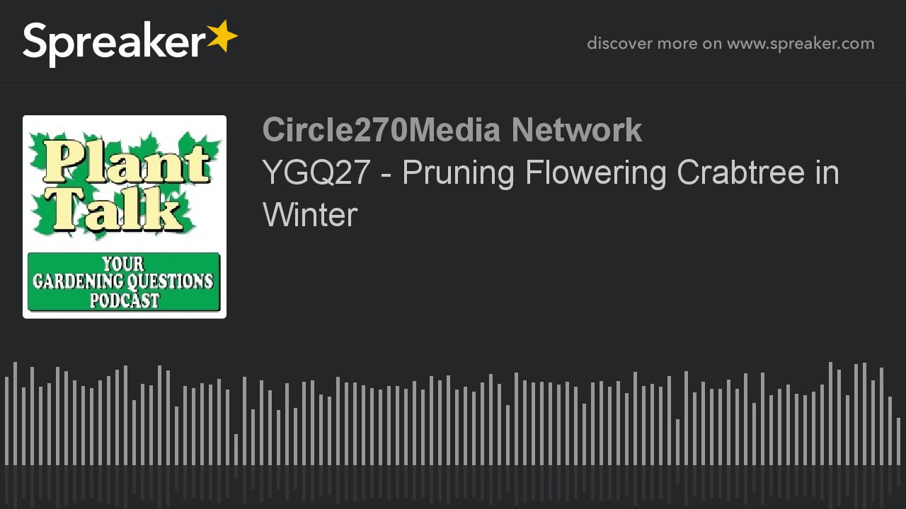 YGQ27 - Pruning Flowering Crabtree in Winter