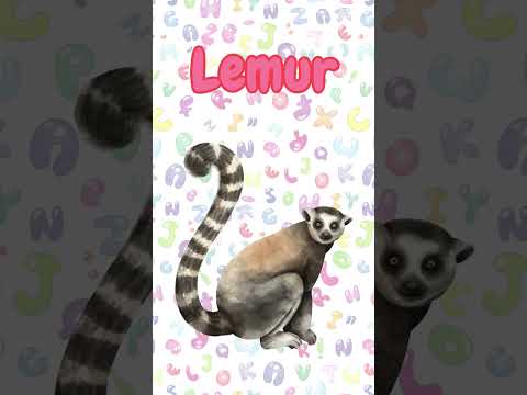 L is for: animals beginning with the letter L.