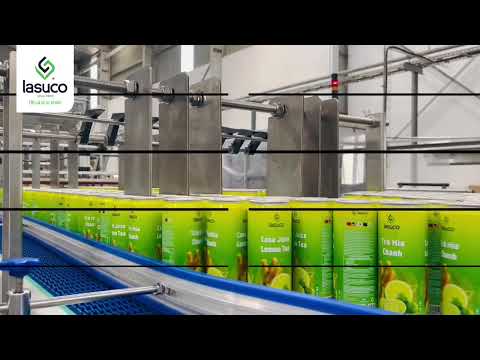 TRÀ MÍA CHANH LASUCO - SỰ KẾT HỢP MÁT LÀNH, TƯƠI MỚI