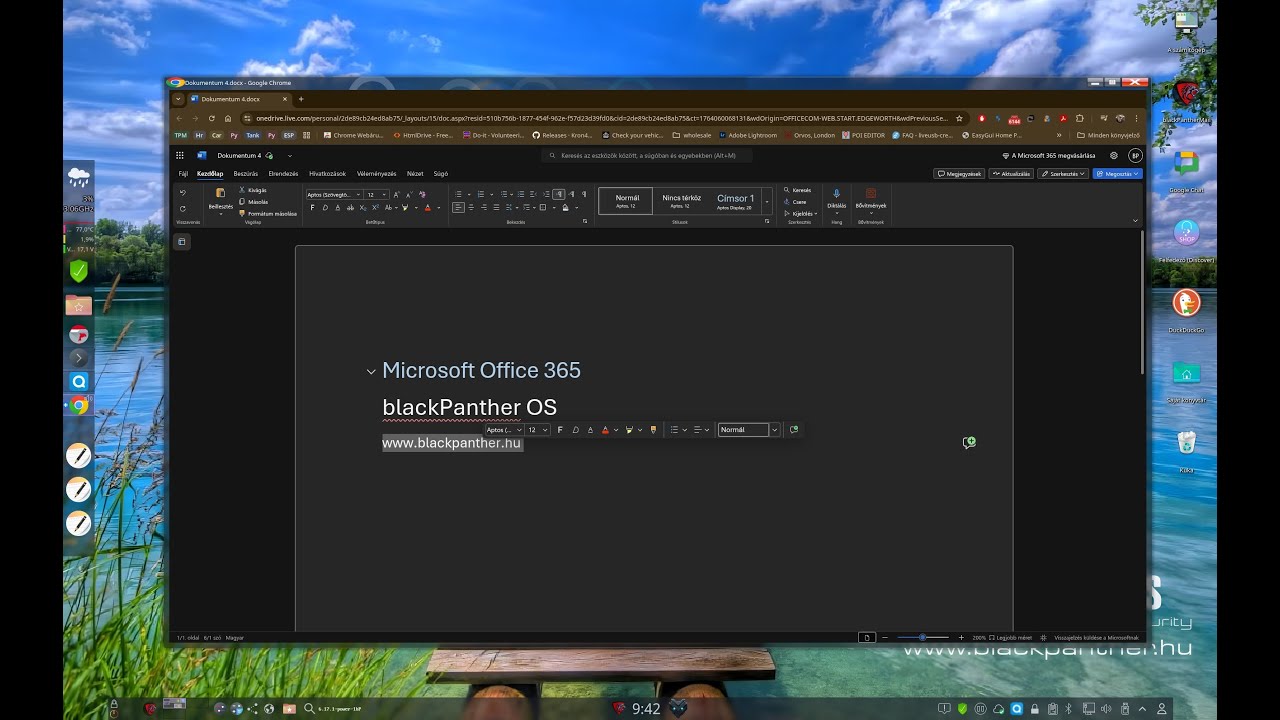 Microsoft Office 365 - Online • blackPanther Projekt