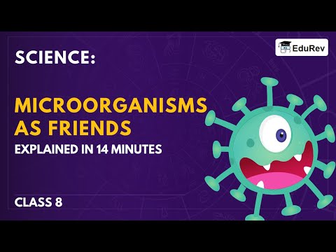 Microorganisms as Our Friends Video Lecture - Science Class 8