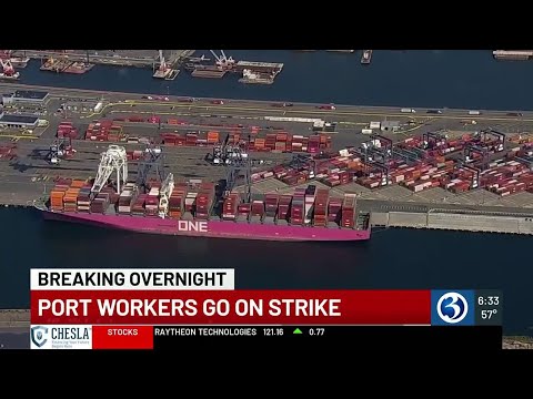 VIDEO: Dock workers strike could impact economy