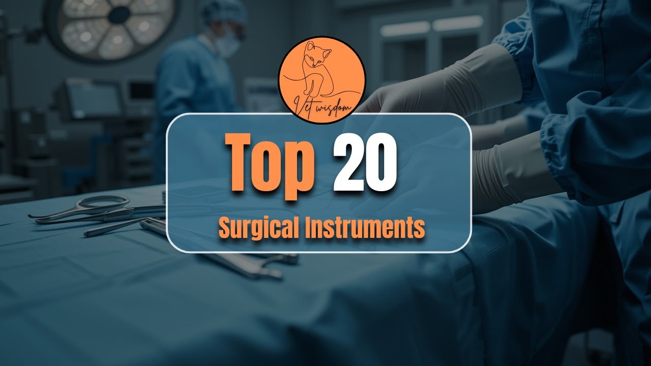Essential Vet Tools That Make or Break Your Clinical Success