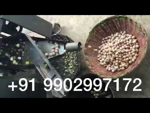 Arecanut Dehusking Machine - Areca Nut Peeling Machine Latest Price ...