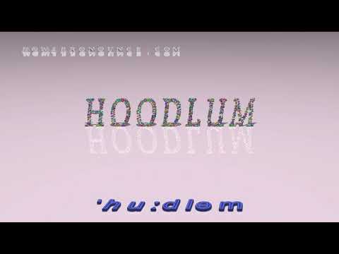 hoodlum - pronunciation + Examples in sentences and phrases