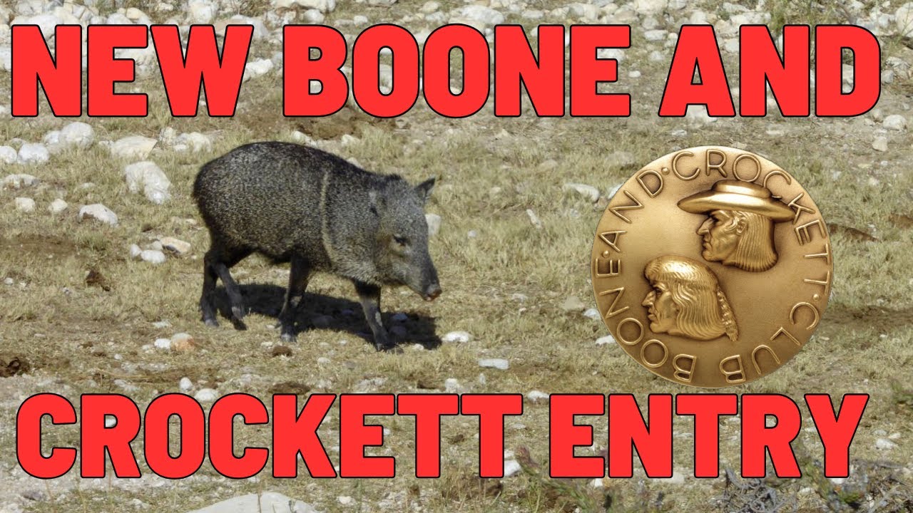 Boone and Crockett's Newest Animal