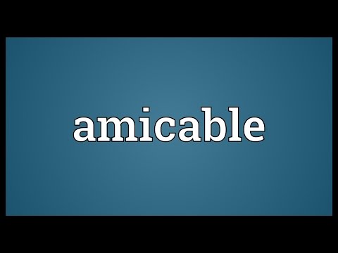 Amicable Meaning