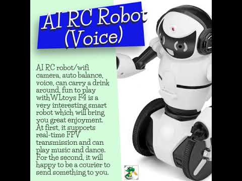 AI RC Robot (Voice)