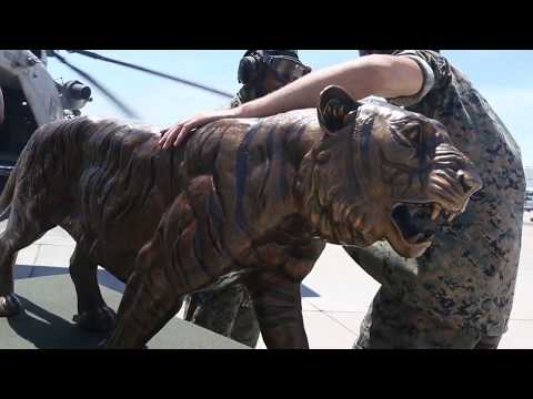 HMH-361 Flying Tigers Mascot Reveal