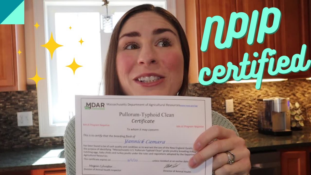 How to get National Poultry Improvement Plan certified