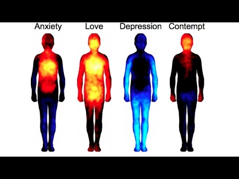 Emotions And Their Effects On The Body | Royce PS
