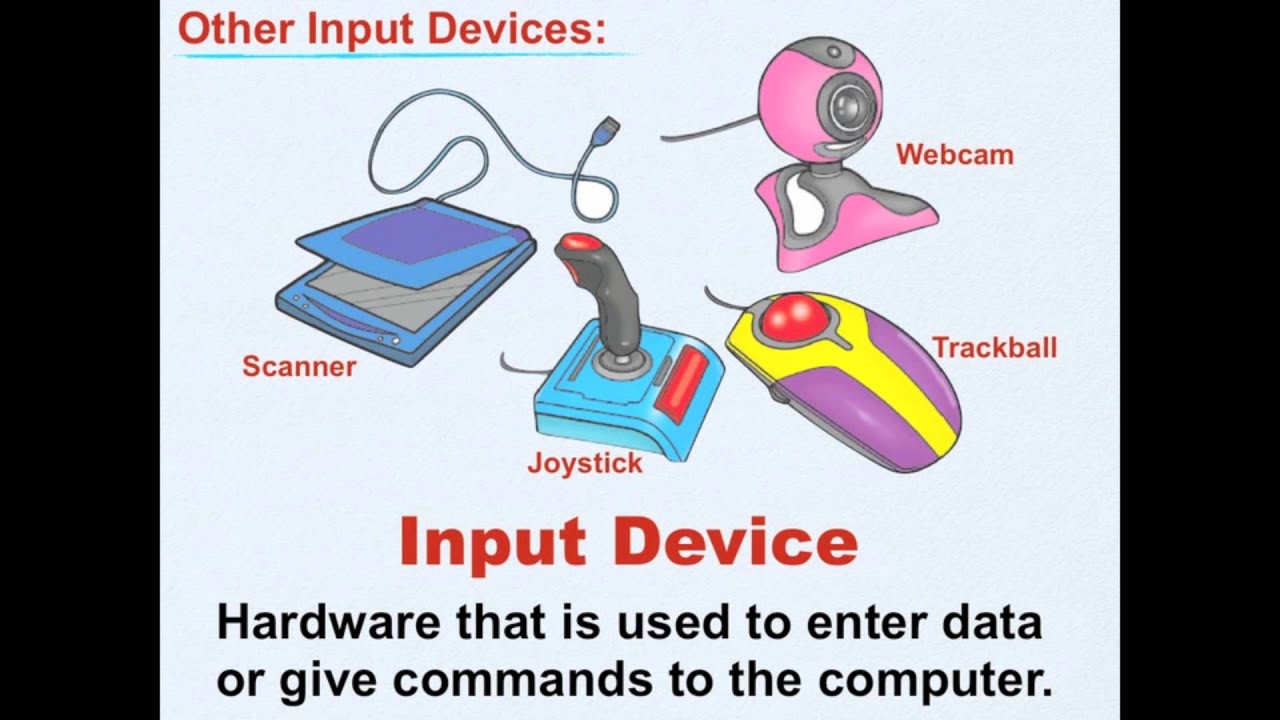 Understanding Computer Operations: The Basics of Hardware and Software ...