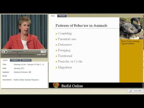 Introduction to Animal Behavior
