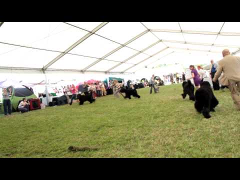 MVI_3819.MOV