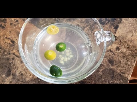 Calamondin/Kalamansi Juice