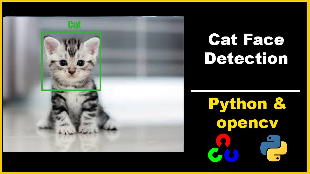 Cat Face Detection | Python & opencv