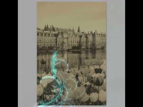 Vintage The Hague Netherlands Travel Poster Wall Art | Retro Hague Flowers Home Decor | Hague Coa...