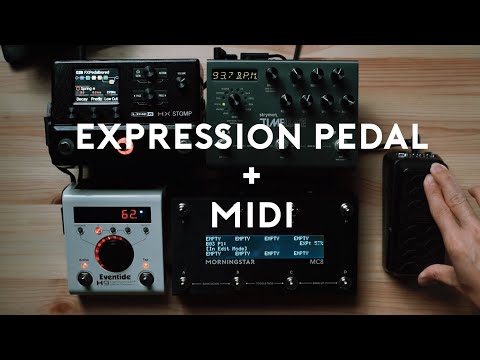 DOD Mini Expression | Reverb