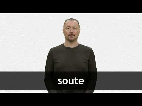 English Translation of “SOUTE” | Collins French-English Dictionary