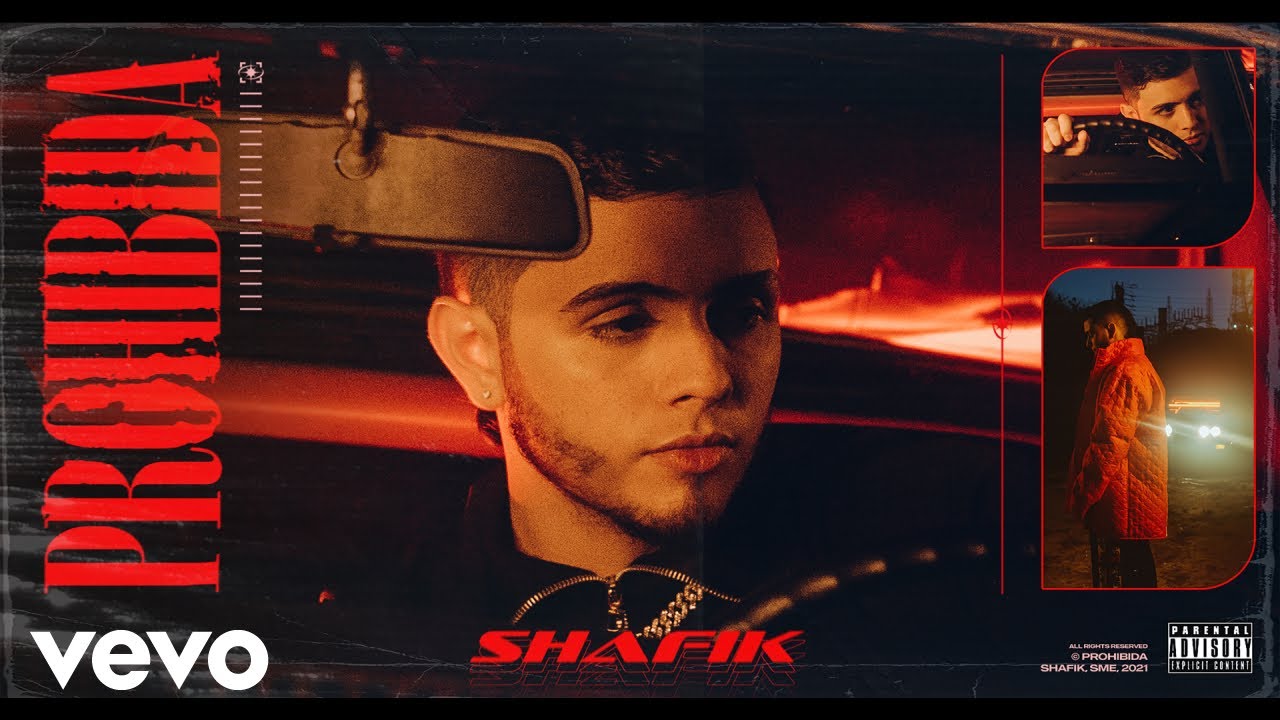 ¿Quiénes son los sobrinos de Shakira, Tarik y Shafik Mebarak?