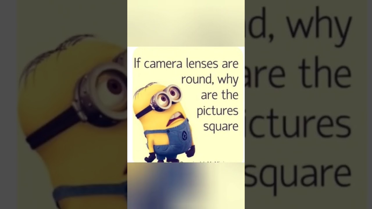 Funny minion Quotes